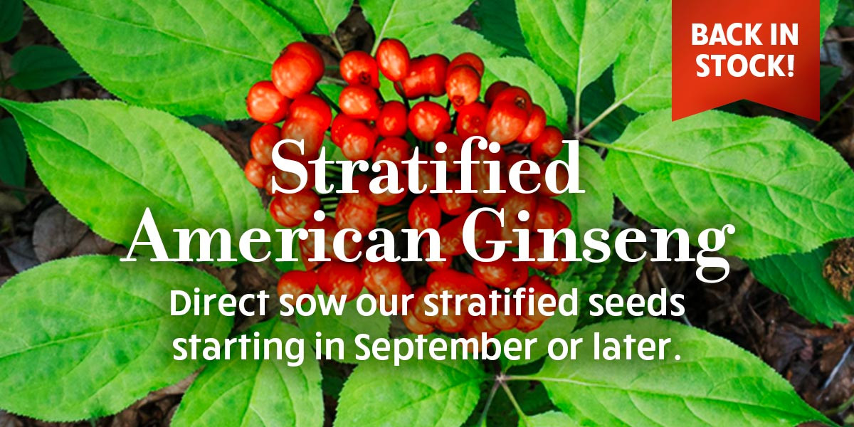 Annie's Heirloom Seeds | Hundreds Of Heirloom, Organic, and NonGMO ...