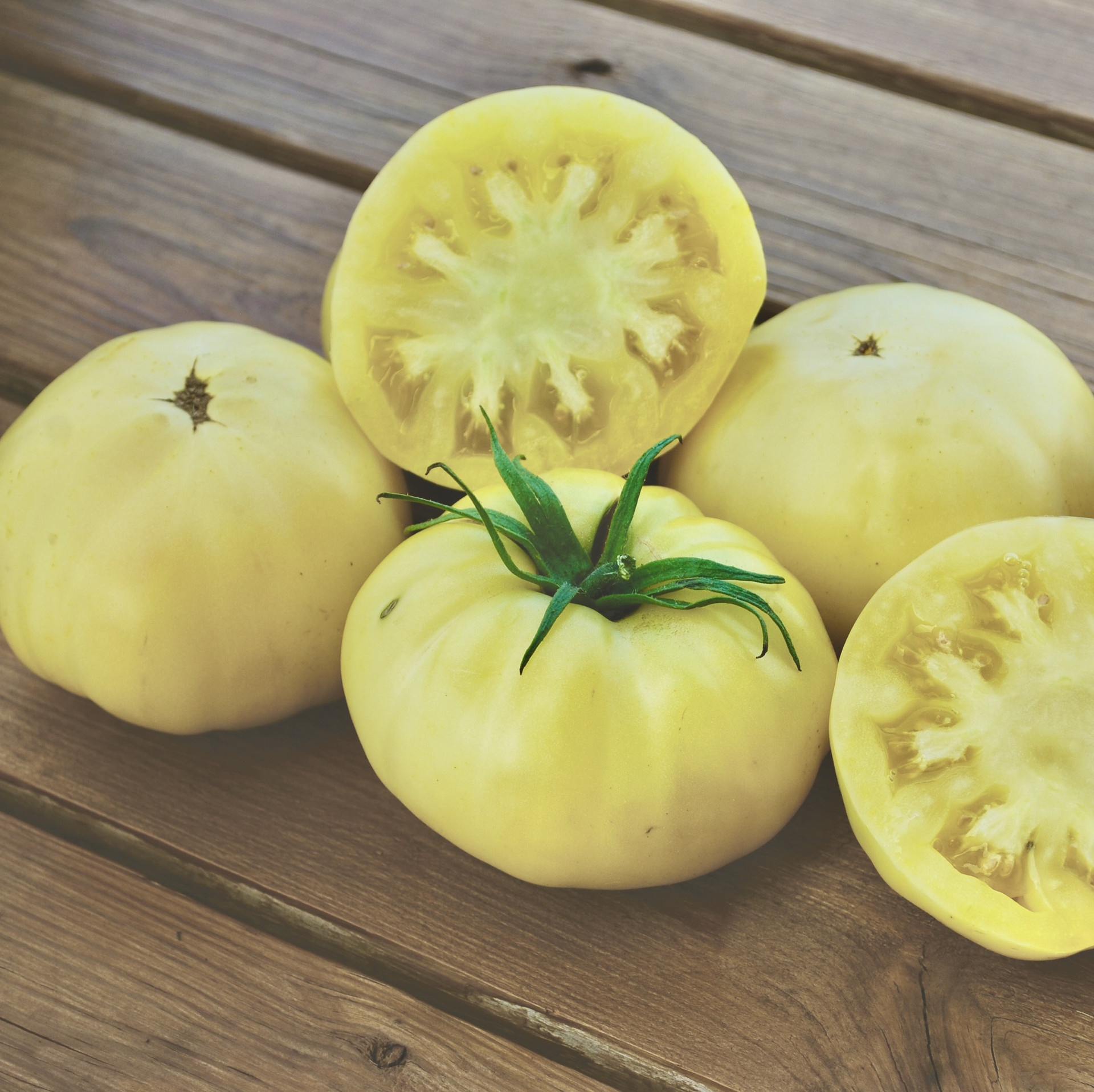 White Tomesol Tomato (Solanum lycopersicum) - Annie's Heirloom Seeds