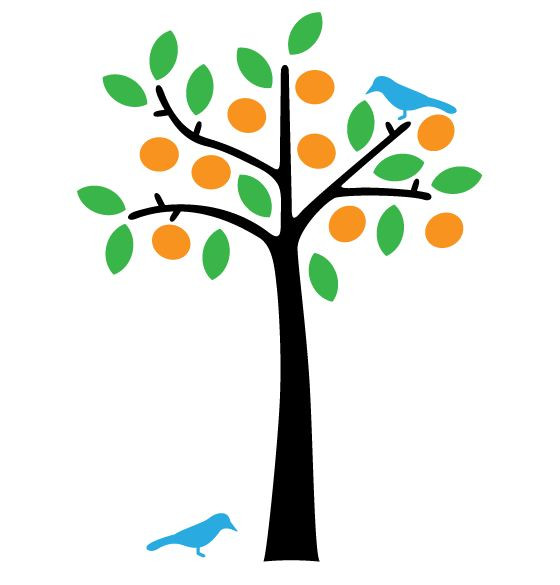 Citrus Tree with Birds Wall Decal | DecalMyWall.com