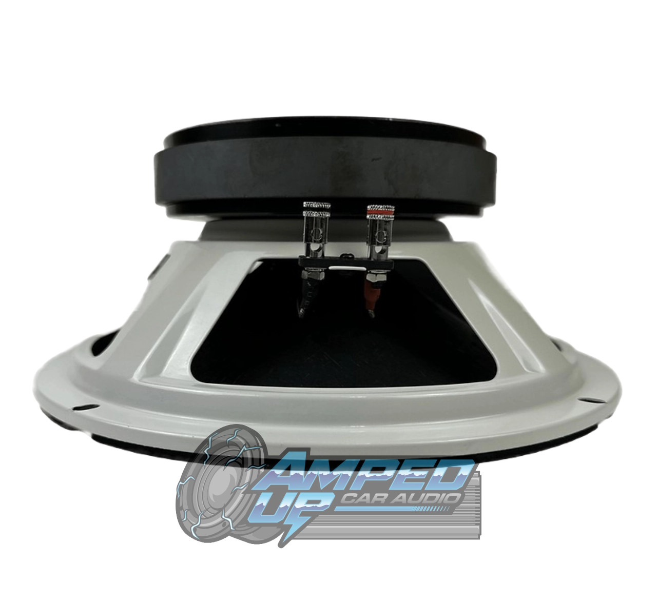 Resilient Sounds RS 10M 10" Speaker (Single) | 300W RMS
