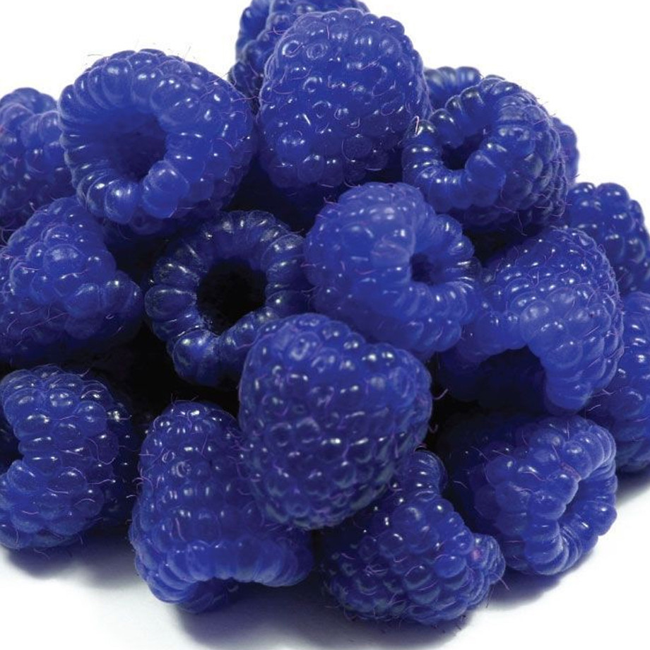 Blue Raspberry Flavor Concentrate | Multi-purpose: candy flavoring ...