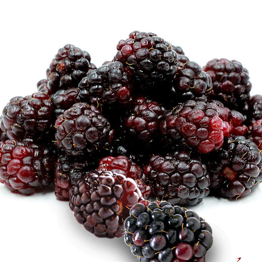 Boysenberry Flavor Concentrate | Multi-purpose: candy flavoring, syrups ...
