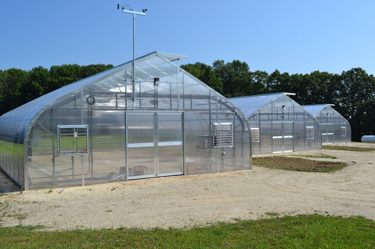 Freestanding Greenhouse 18 x 36 - School or University - Rimol Greenhouses