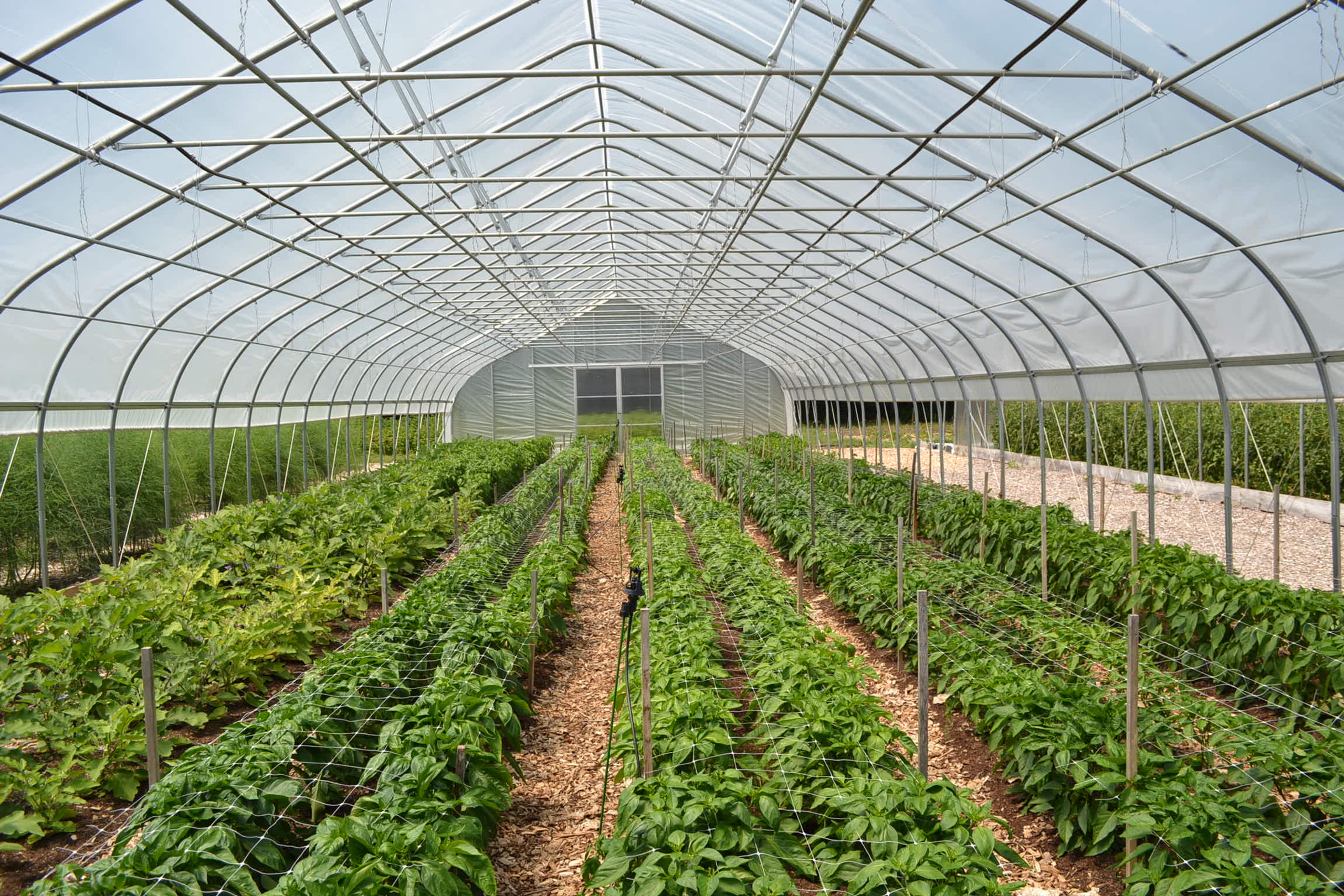 High Tunnel Greenhouse 30 x 72 - Grow Year Round - Rimol Greenhouses