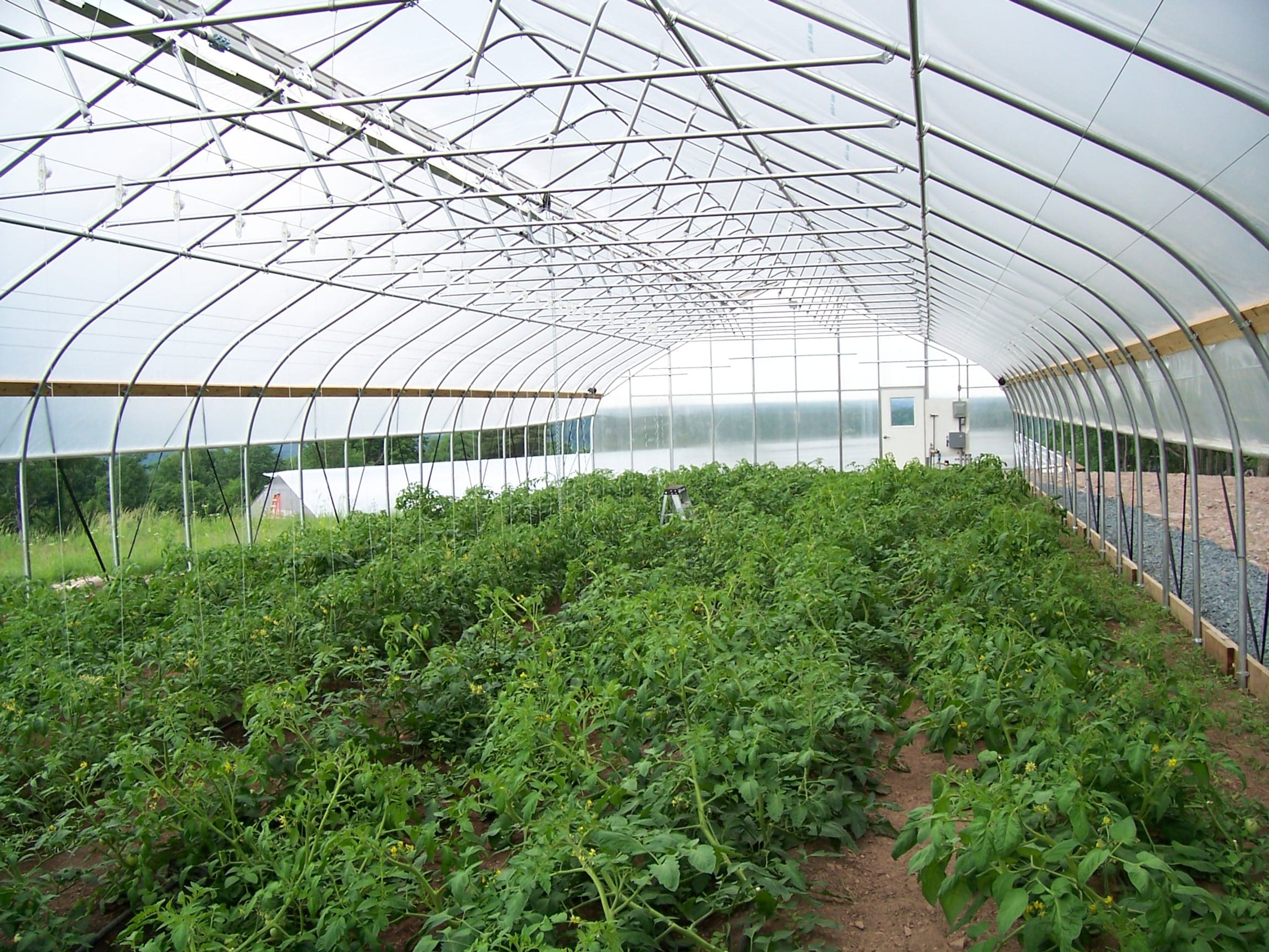 High Tunnel Greenhouse - 30x96 Extend Your Season Rimol Greenhouses