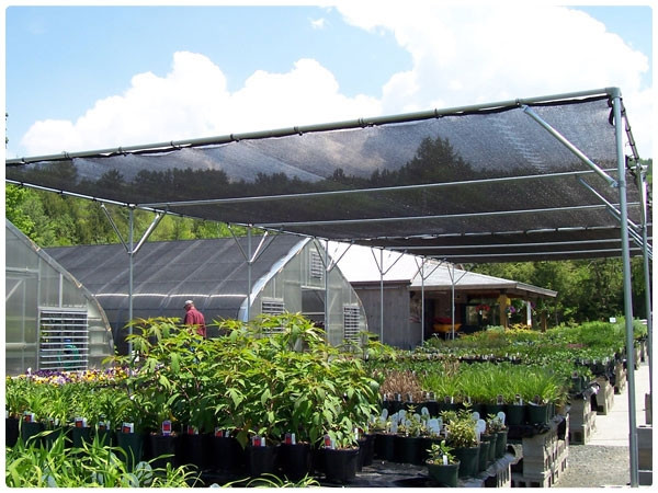 Shade Structure - 10 Foot Width