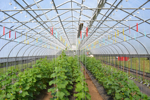 High Tunnel Greenhouse 30 x 48 - Grow Year Round - Rimol Greenhouses