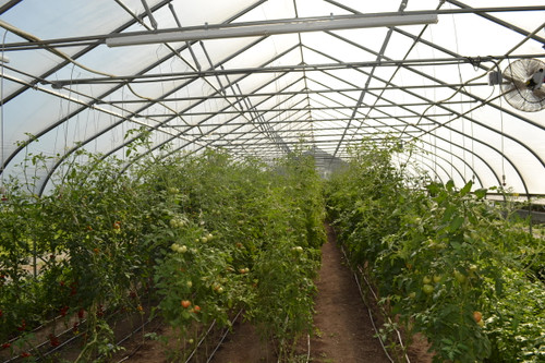 High Tunnel Greenhouse 30 x 48 - Grow Year Round - Rimol Greenhouses