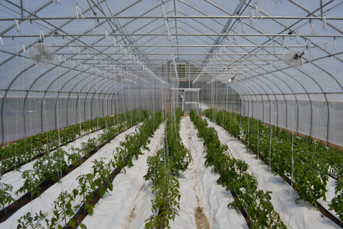High Tunnel Greenhouse 30 x 48 - Grow Year Round - Rimol Greenhouses