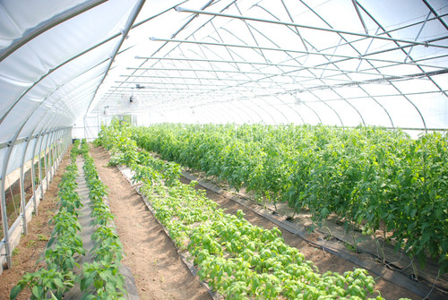 High Tunnel Greenhouse 30 x 48 - Grow Year Round - Rimol Greenhouses