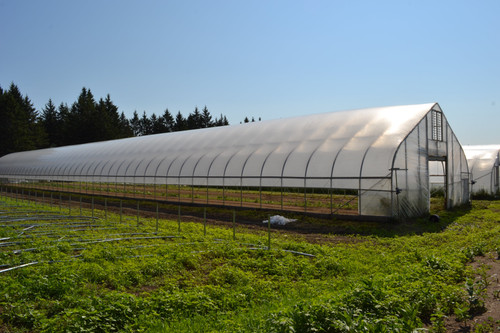 High Tunnel Greenhouse 30 x 72 - Grow Year Round - Rimol Greenhouses