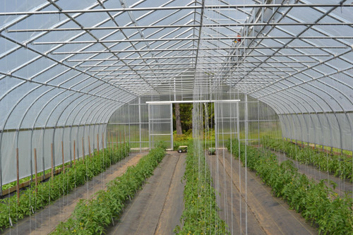 High Tunnel Greenhouse 30 x 72 Durable Greenhouse Rimol