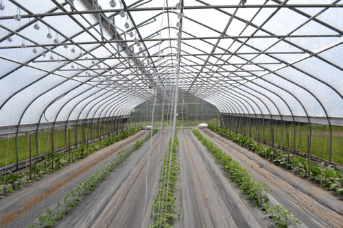 High Tunnel Greenhouse 30 x 72 Durable Greenhouse Rimol