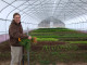 High Tunnel Greenhouse 30x96 - Grow Year-Round - Rimol Greenhouses