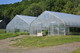 High Tunnel Greenhouse 30x96 - Grow Year-Round - Rimol Greenhouses