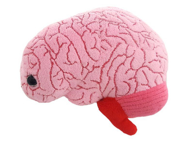 Brain Plushie - Totally Awesome Goods