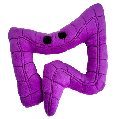 Colon Plushie - Totally Awesome Goods
