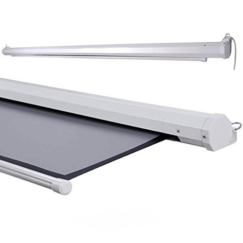 Motorized Projector Grey 100" Screen