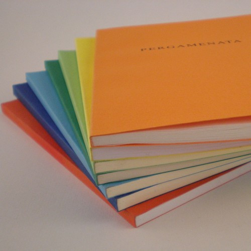 Papelote A5 Notebook Pen Strap | Stylus + in Edmonton, Alberta, Canada