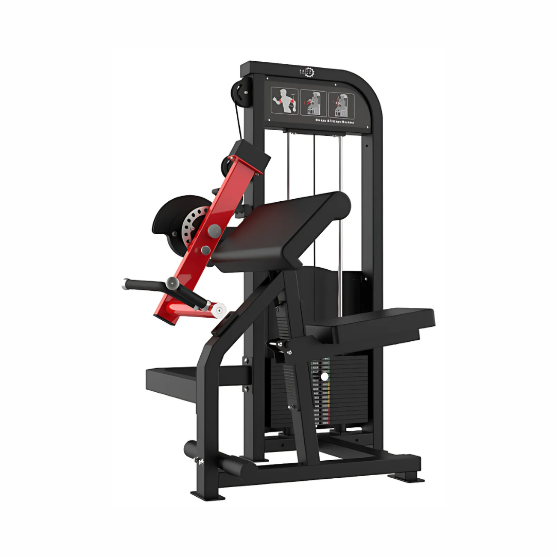 Biceps & Triceps Machine