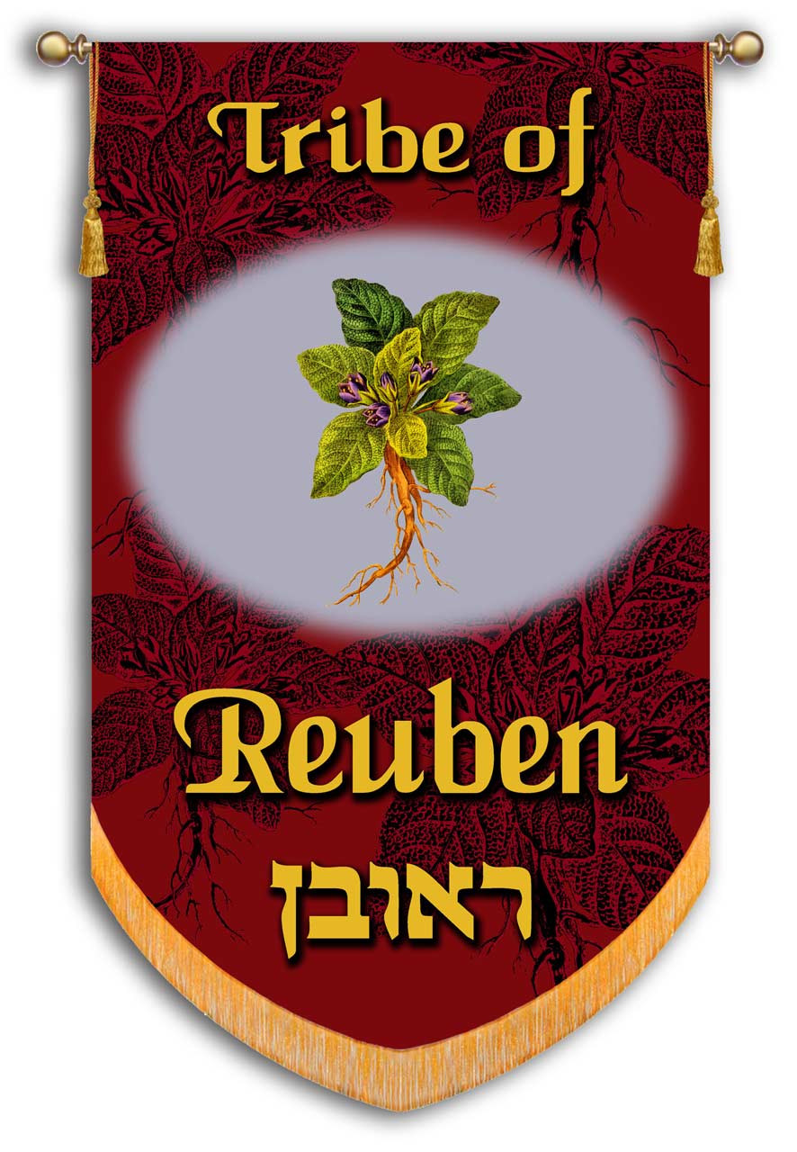 Tribes of Israel 12 Church Banner Set