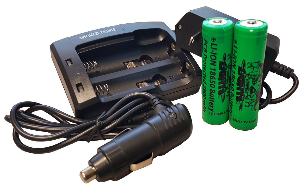 Wicked Lights 2-Position Charger kit with 2-pack Li-Ion Batteries ...