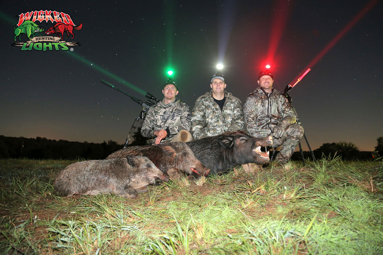 Wicked Lights® A75iC 4-Color-N-1 (Red, 850nm Infrared (IR), Green ...
