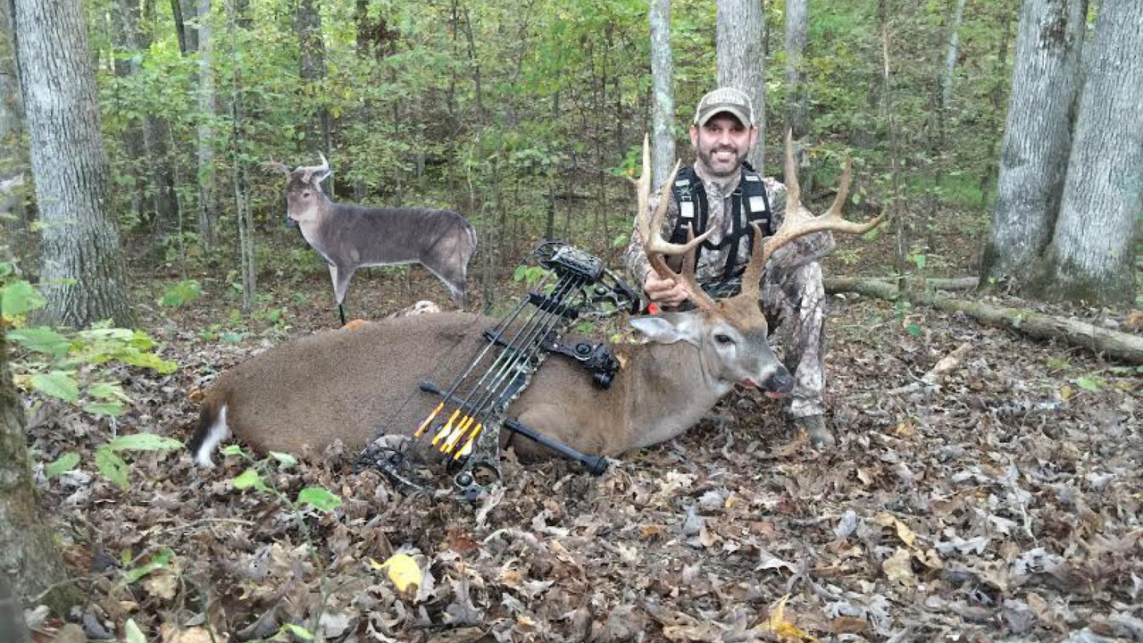 Montana Decoy The Freshman Buck Deer Decoy 0046 - AllPredatorCalls.com