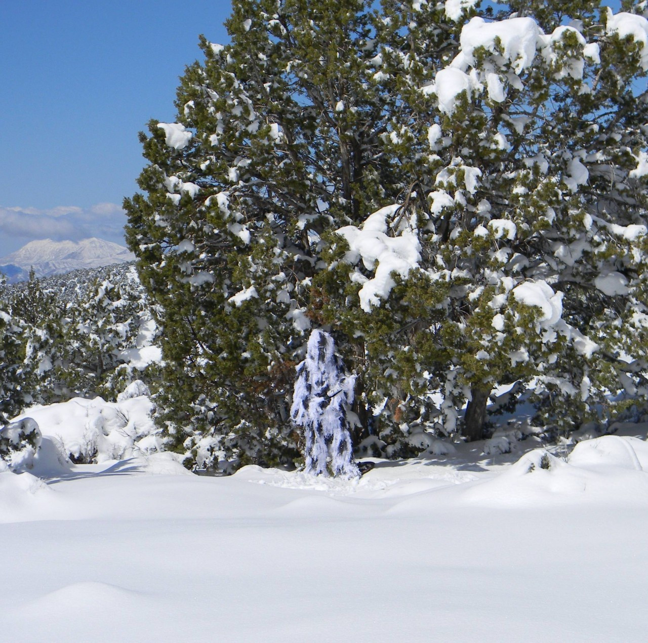 Red Rock Outdoors Snow Camouflage Ghillie Suit RRSnow ...