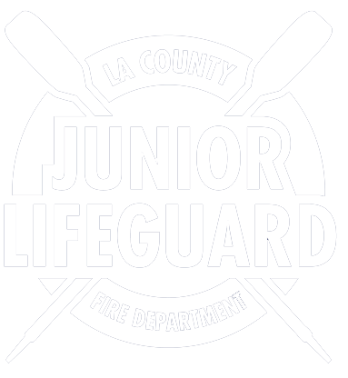 Decal - 3" Junior Guard White/Clear
