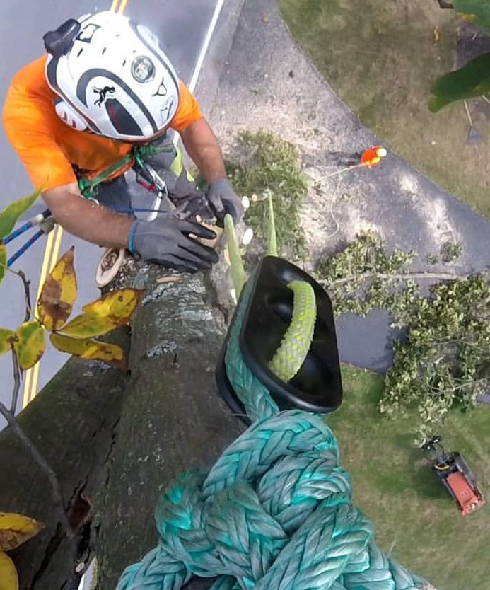 Buy 3/4" Soft Anchor Rigging Sling with Safebloc by The Splice Shop ...