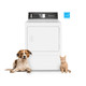 DR7004WE Speed Queen 27" 7 cu. Ft. Capacity Electric Dryer with PetPlus ...