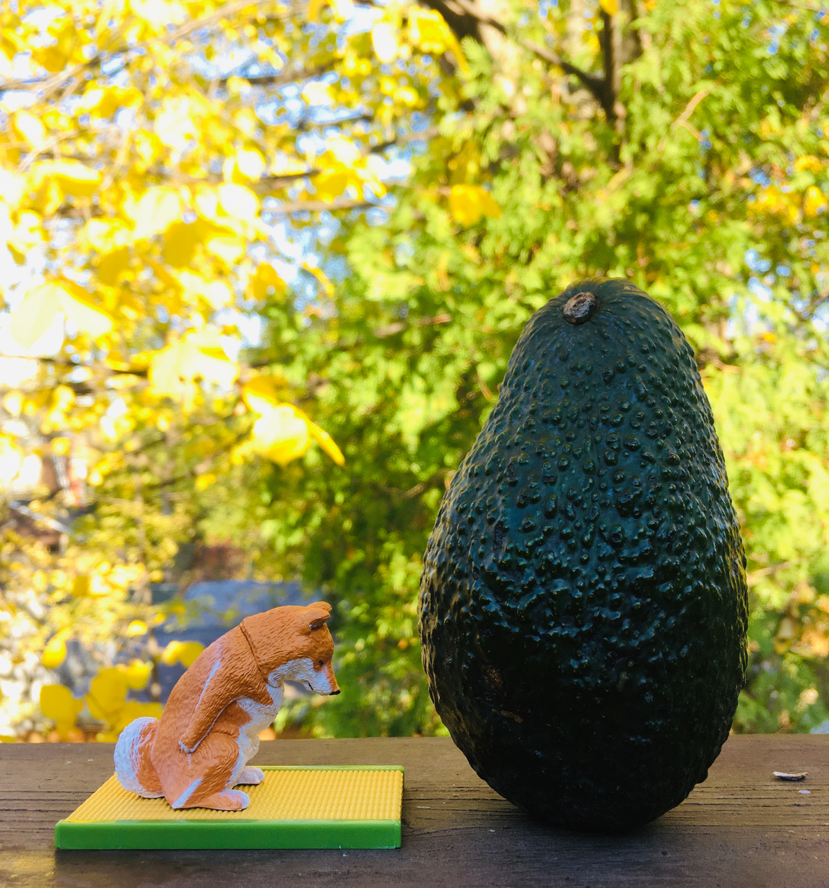 Bowing Animals Version 1 - STUDIO BRILLANTINE | DESIGN SHOP