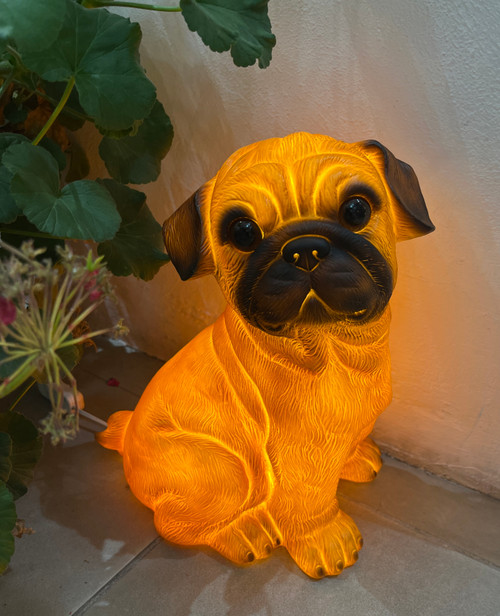 Pupu the Pug light