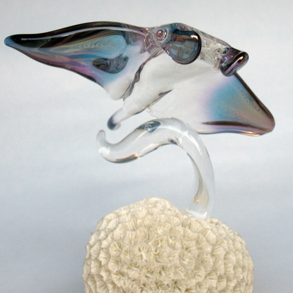 Hand Blown Glass Manta Ray - Prochaska Gallery