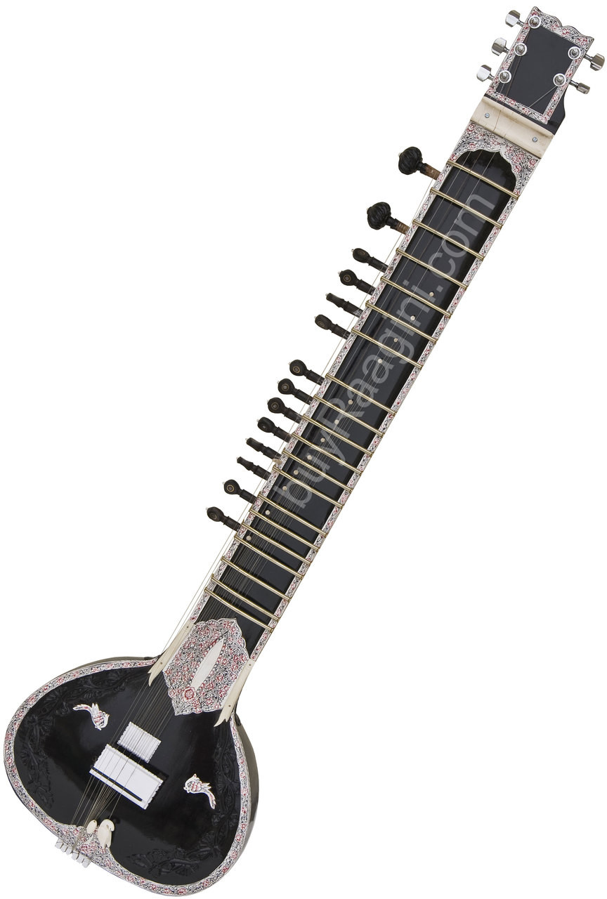 Shop - Indian Musical Instruments - Sitar - Electric Sitar - Maharaja ...