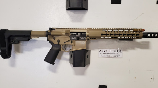 COYOTE TAN AR-10 SNIPER RIFLE