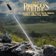 The Princess Bride - Dread Pirate Roberts Sword Prop Replica ...