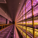 AGEYE HYVE Pro Automated Vertical Farm System