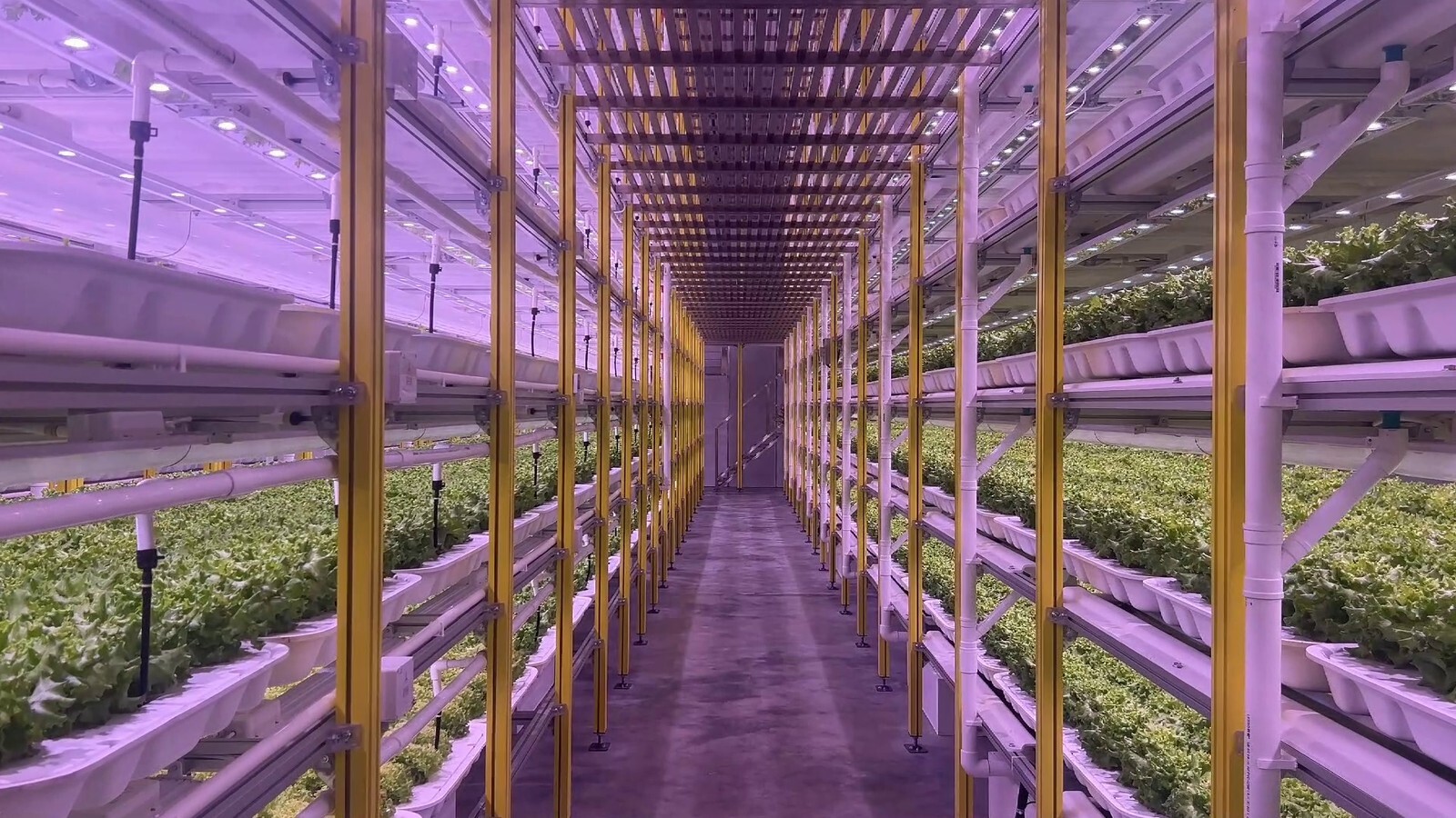 Indoor Farming & CEA Equipment - AGEYE HYVE Vertical Farming Systems ...