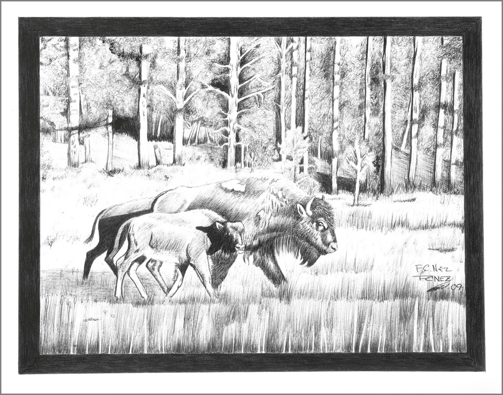 Native American Buffalo Art Print 17221