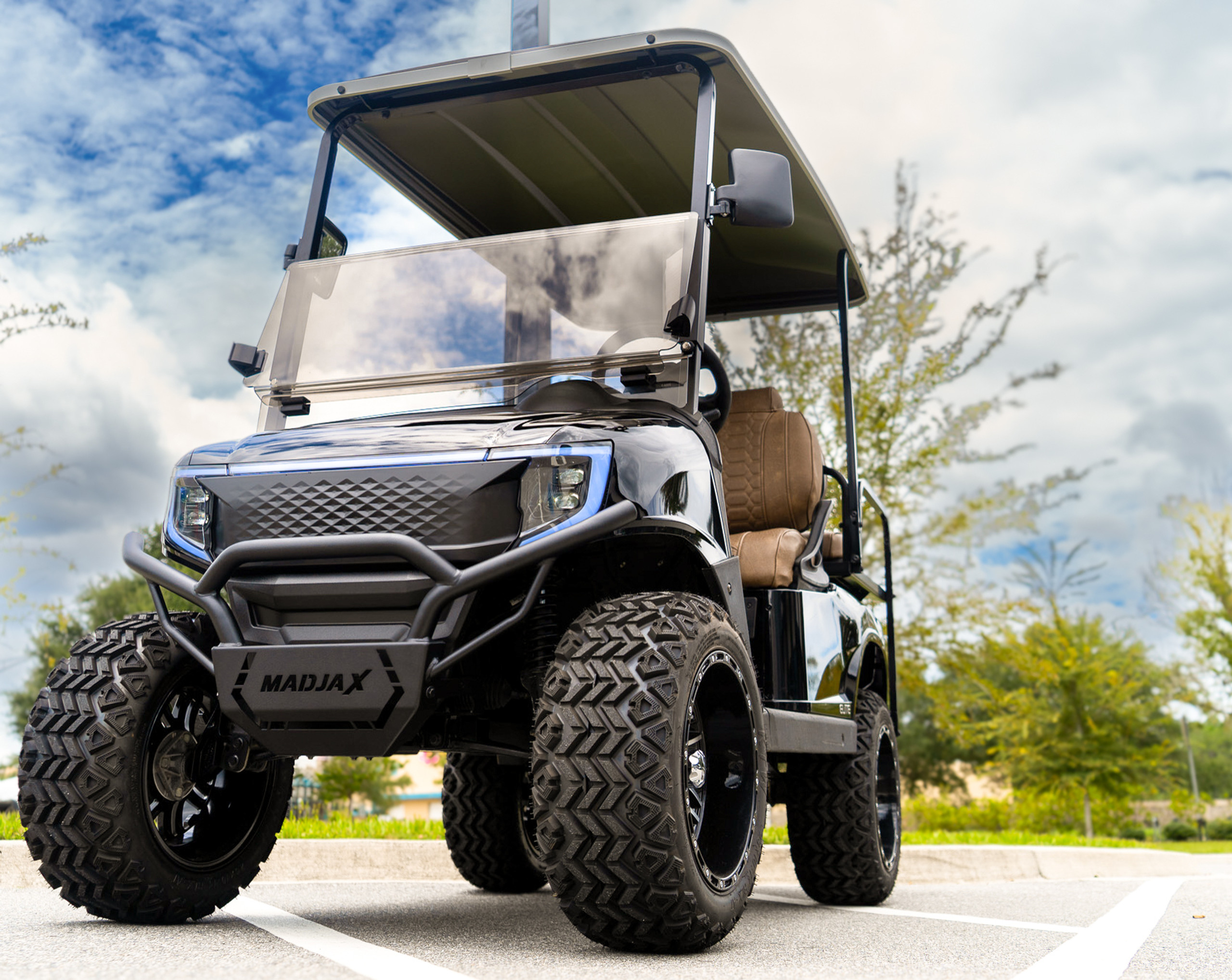 Madjax Apex Brush Guard For Ezgo Rxv 2008 2022 Golf Carts With Madjax