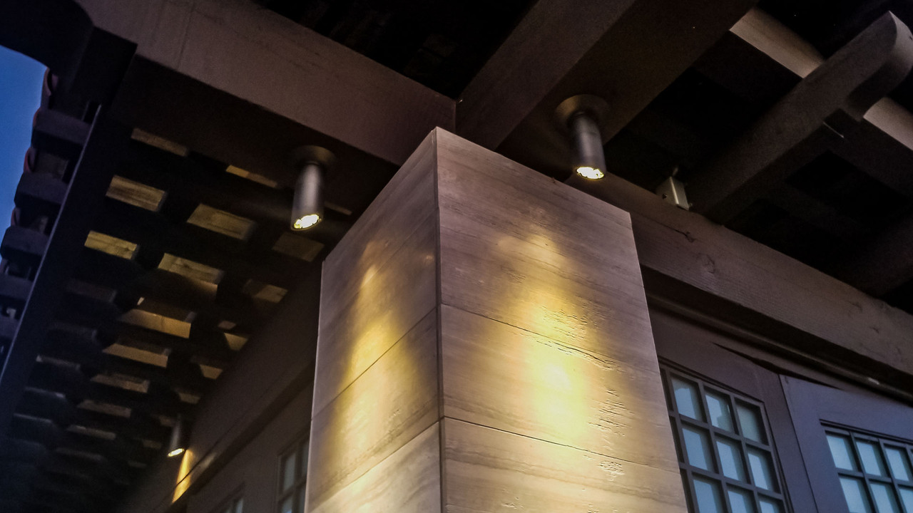 SENTINEL-MT Down Light | Medallion Trim Fixture | Fixed Position ...