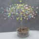 Small Sally Tree - Immortelle Designs