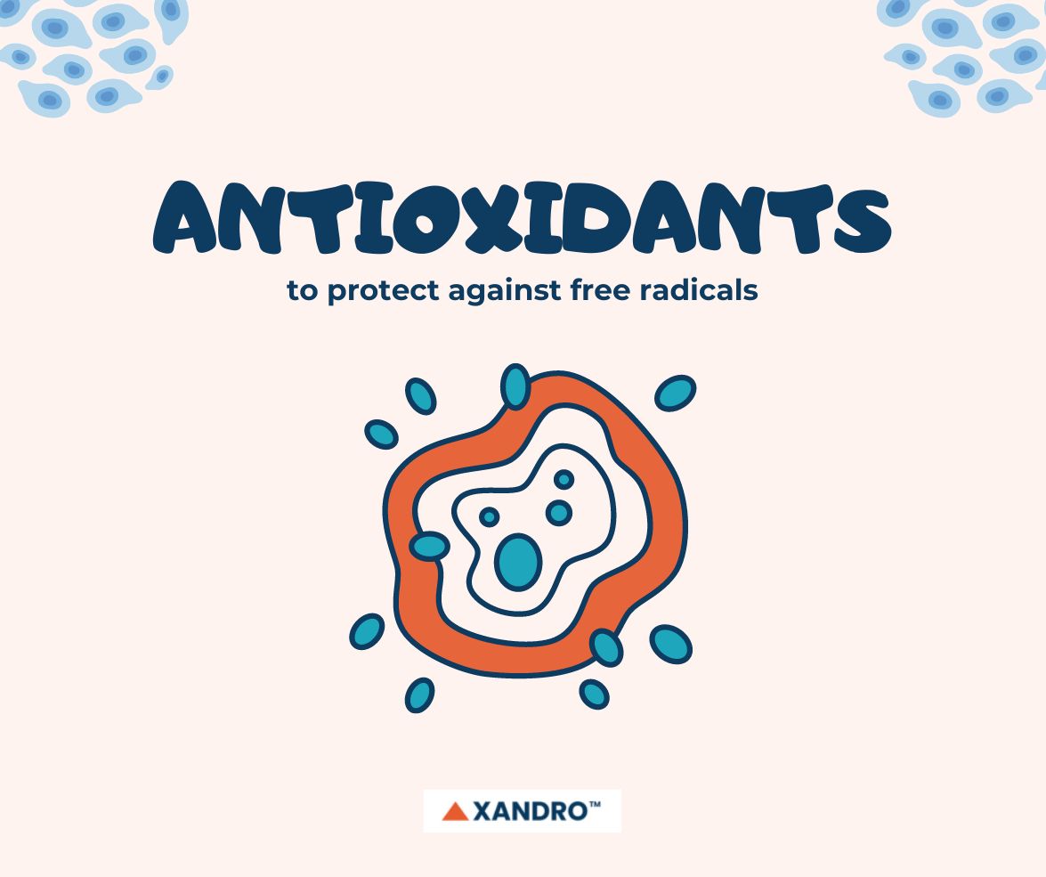 Top Antioxidants Against ROS - Xandro Lab