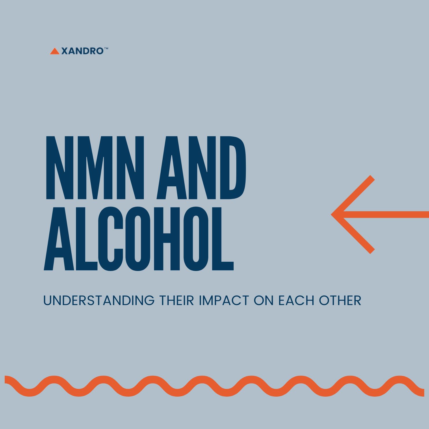 NMN and Alcohol: Effects on Liver, NAD Levels and Side Effects - Xandro Lab