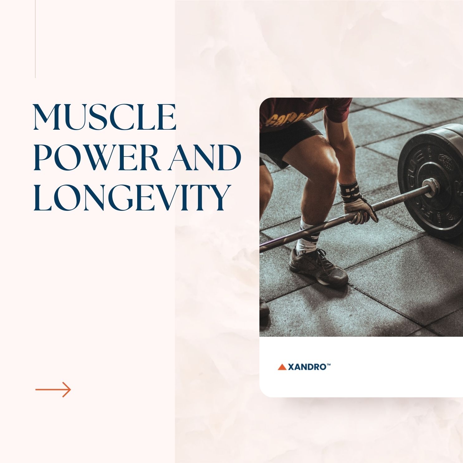 Unlock the Secret to Longevity: Muscle Mass, Strength and Power - Xandro Lab