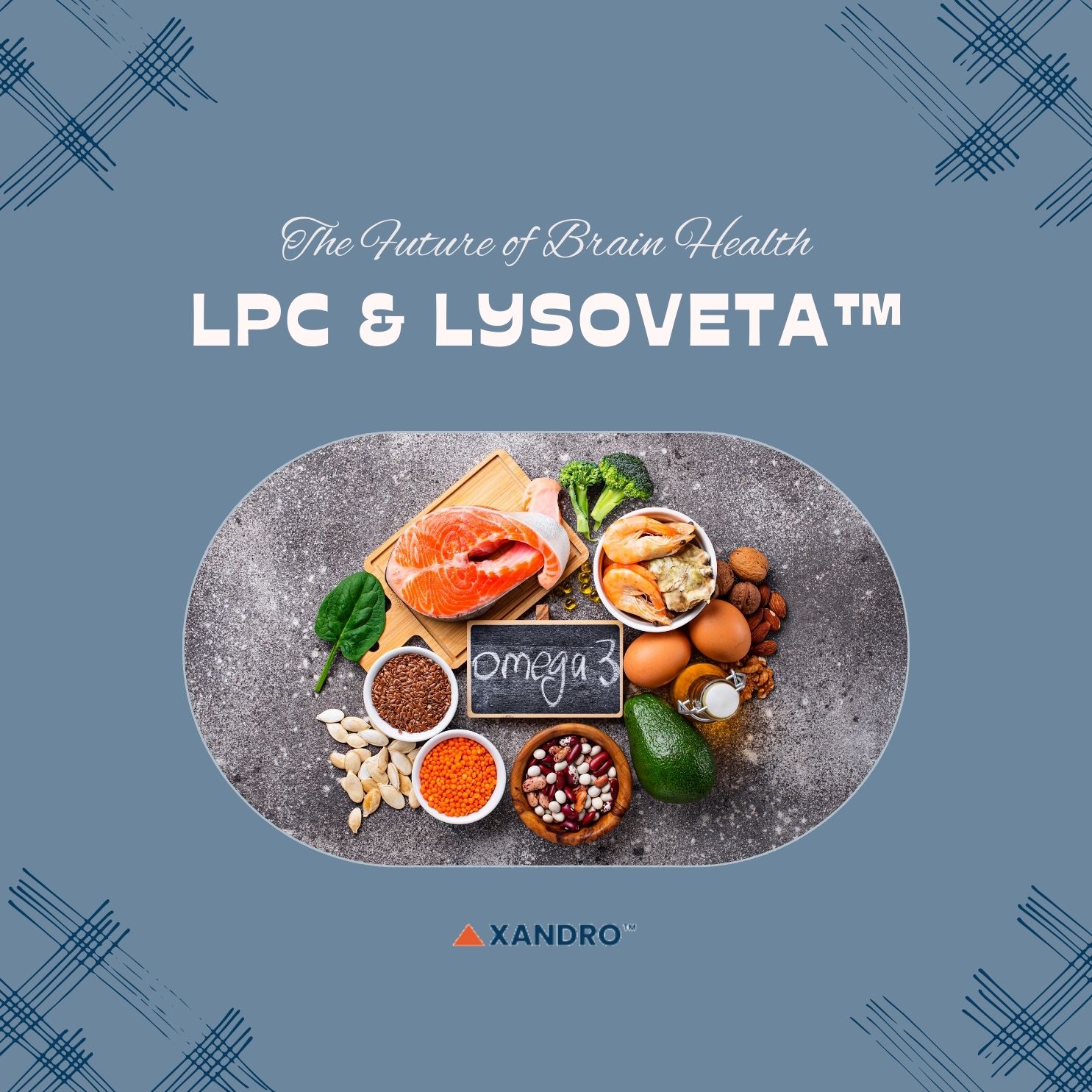 LYSOVETA™ vs Krill Oil: Which Omega-3 Supplement is Right for You ...