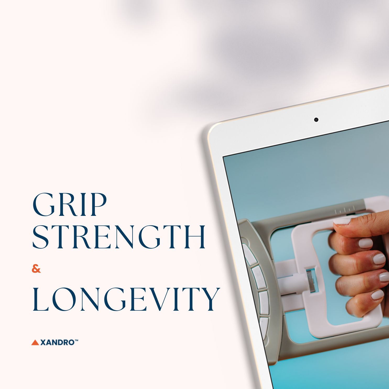 Grip Strength & Longevity: Why It Matters for Your Health - Xandro Lab