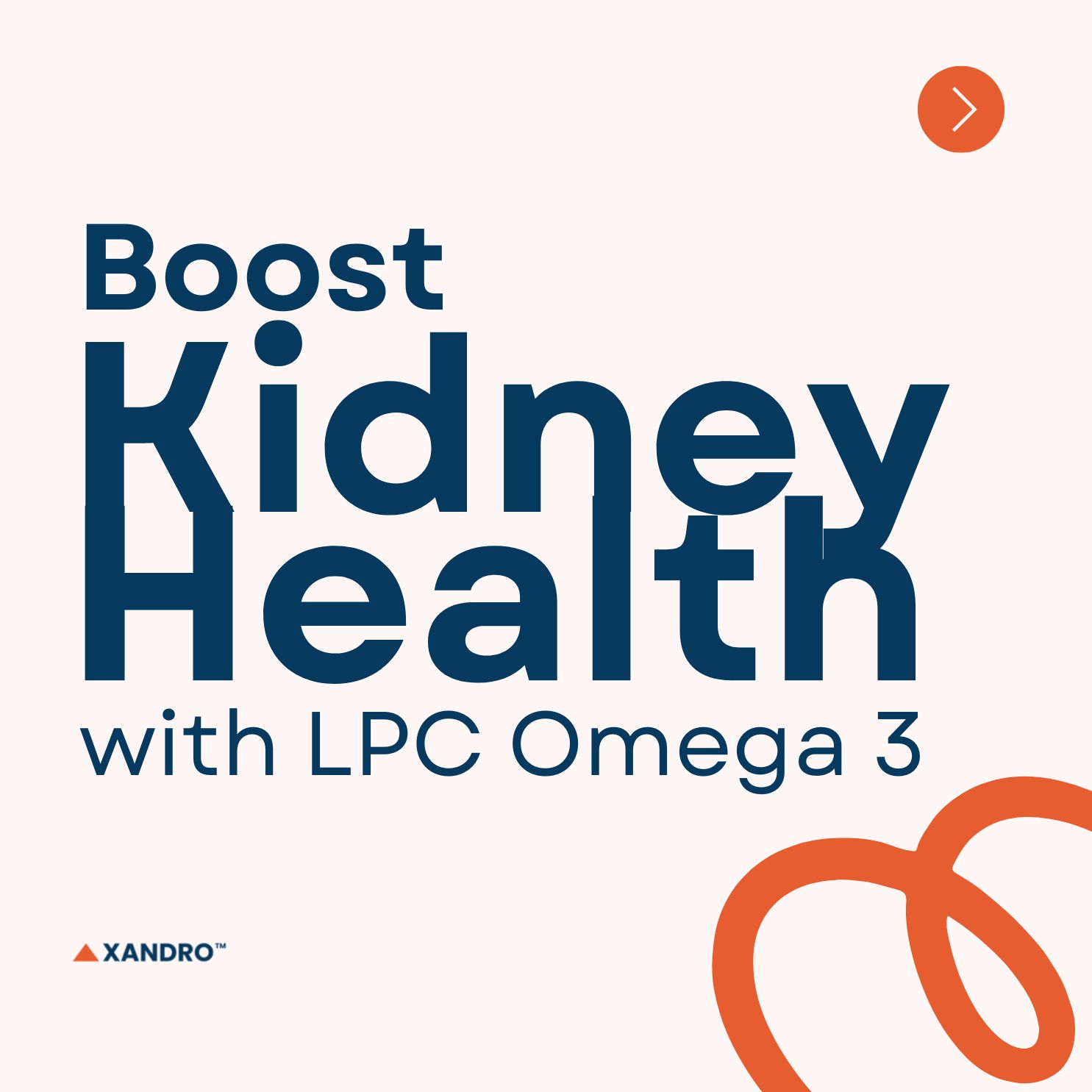 Does Omega-3 Improve Kidney Function? | LPC Omega-3 Supplements ...